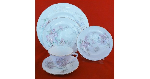 Royal Worcester Caprice 5 Piece Place Setting
